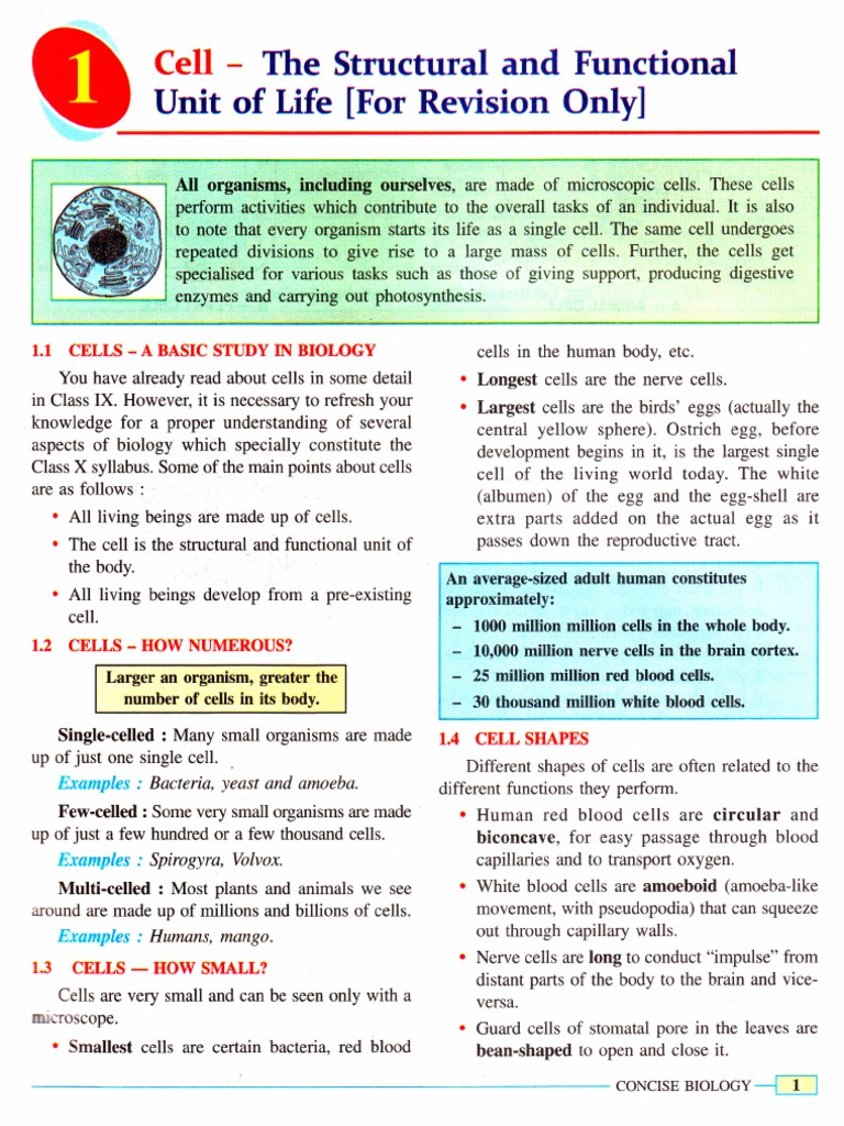 01-Cell-The Structural and Functional Unit of Life | PDF