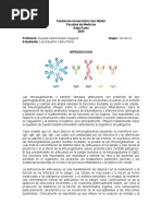 Perfil ENA y detección de autoanticuerpos | PDF | Anticuerpo | Bioquímica