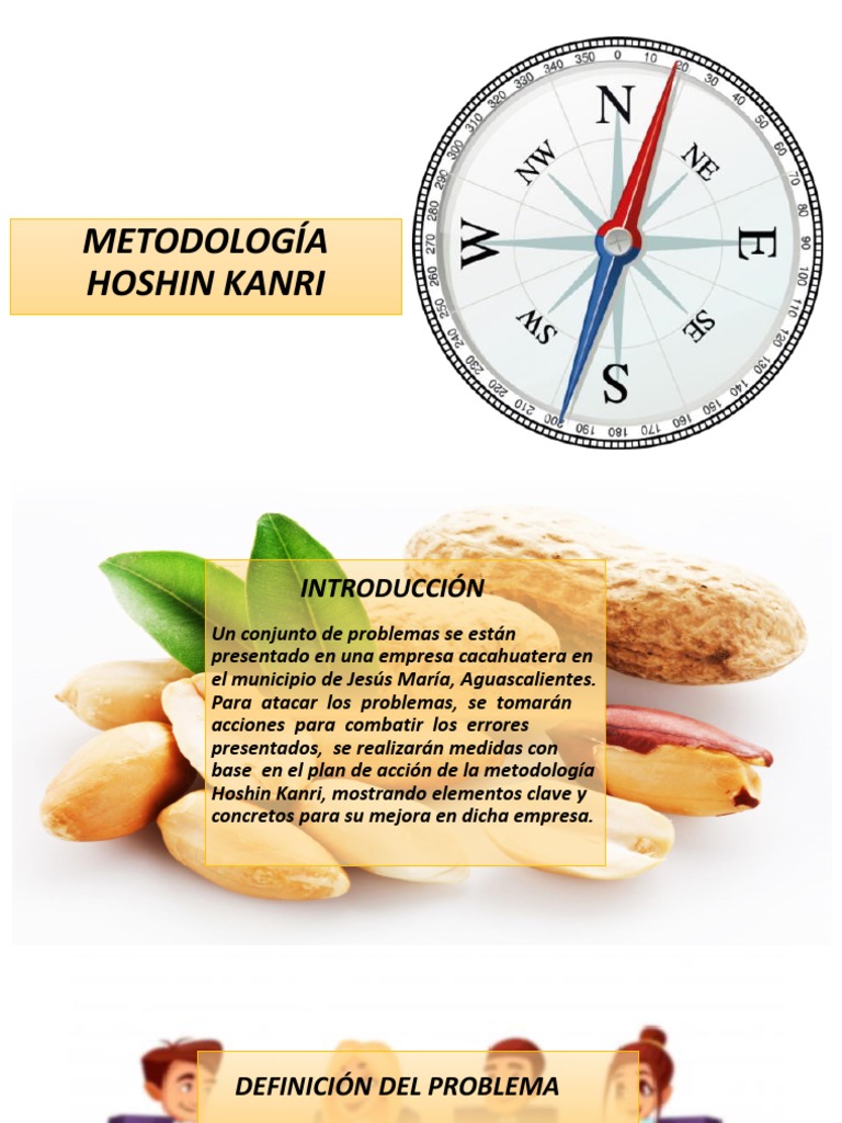 Metodología Hoshin Kanri | PDF | Marketing | Business