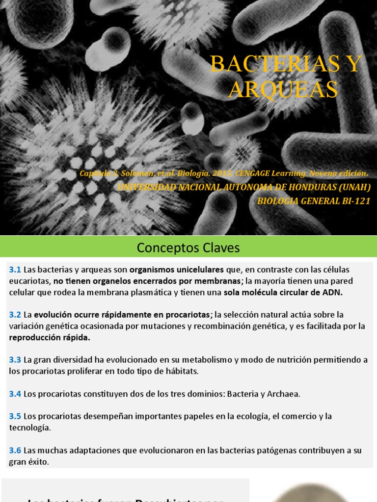 Bacterias y Arqueas 3 | PDF | Las bacterias | Archaea