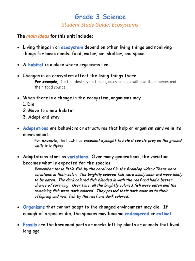 Grade 3 Ecosystem Study Guide | PDF