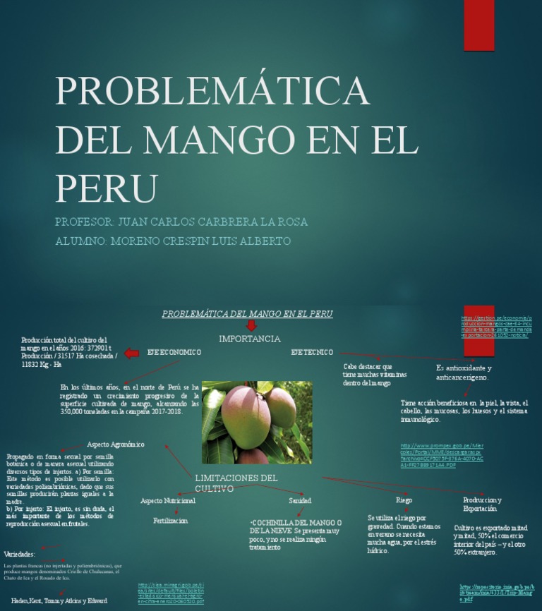 Problemática Del Mango en El Peru | PDF | Mango | Agronomía