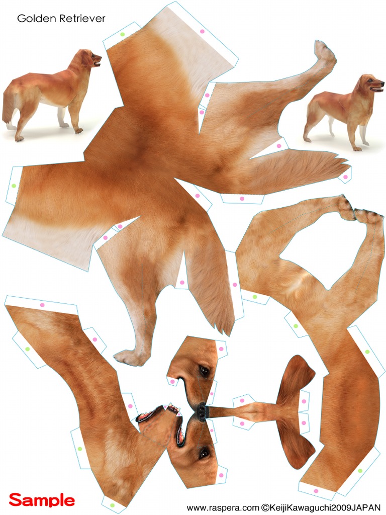 Golden Retriever | PDF