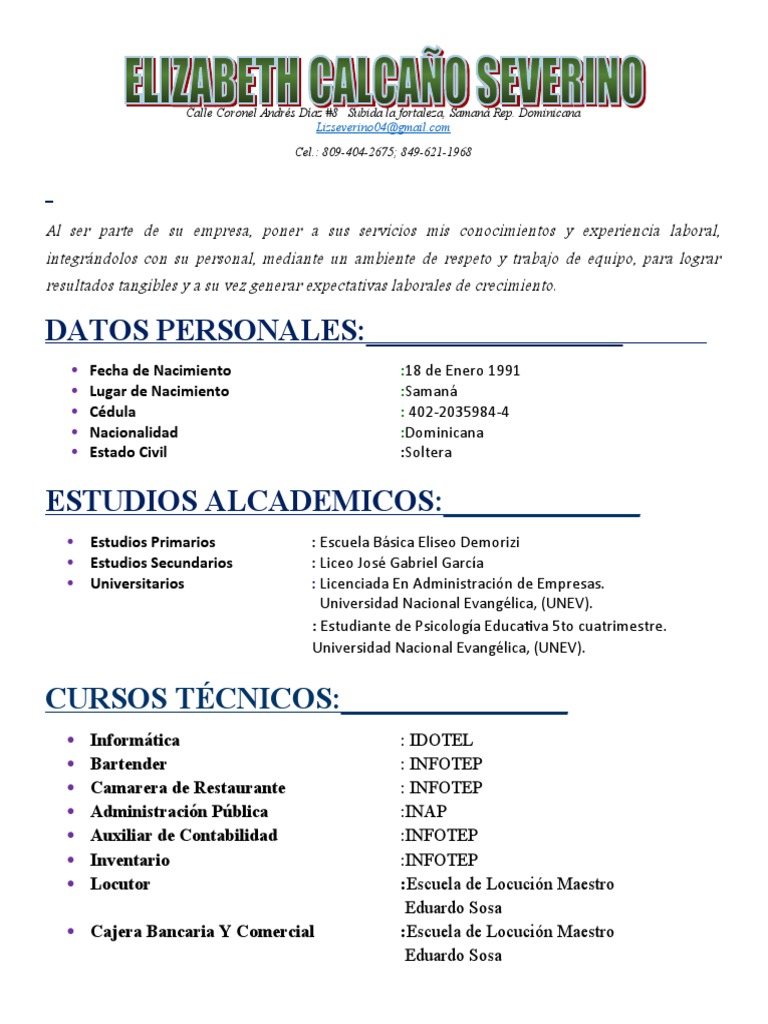 Curriculum Eli | PDF | Business | Enseñando y aprendiendo