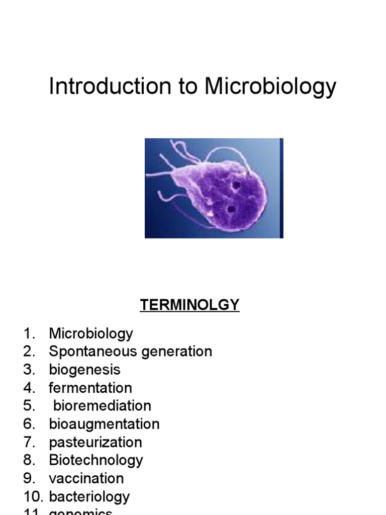 Introduction To Microbiology | PDF | Microbiology | Bacteria