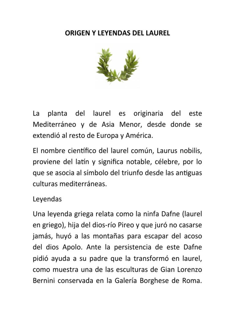 Origen y Leyendas Del Laurel | PDF