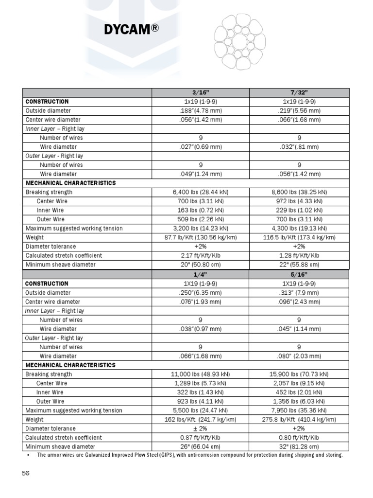 Dycam: Inner Layer - Right Lay | PDF | Nature