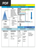 Historia Natural de La Apendicitis | PDF | Especialidades Medicas ...