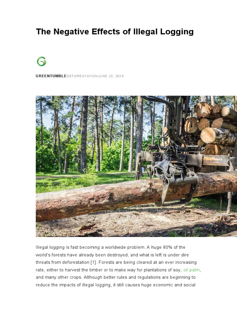 Illegal Logging: Global Impact | PDF | Deforestation | Extinction