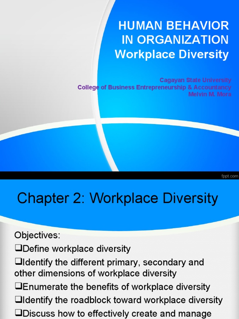 Chapter 2 Workplace Diversity | PDF | Diversity (Business) | Stereotypes