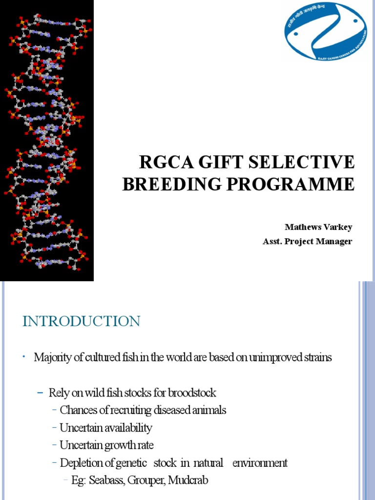 GIFT Selective Breeding Tilapia - Mathews | PDF | Inbreeding ...