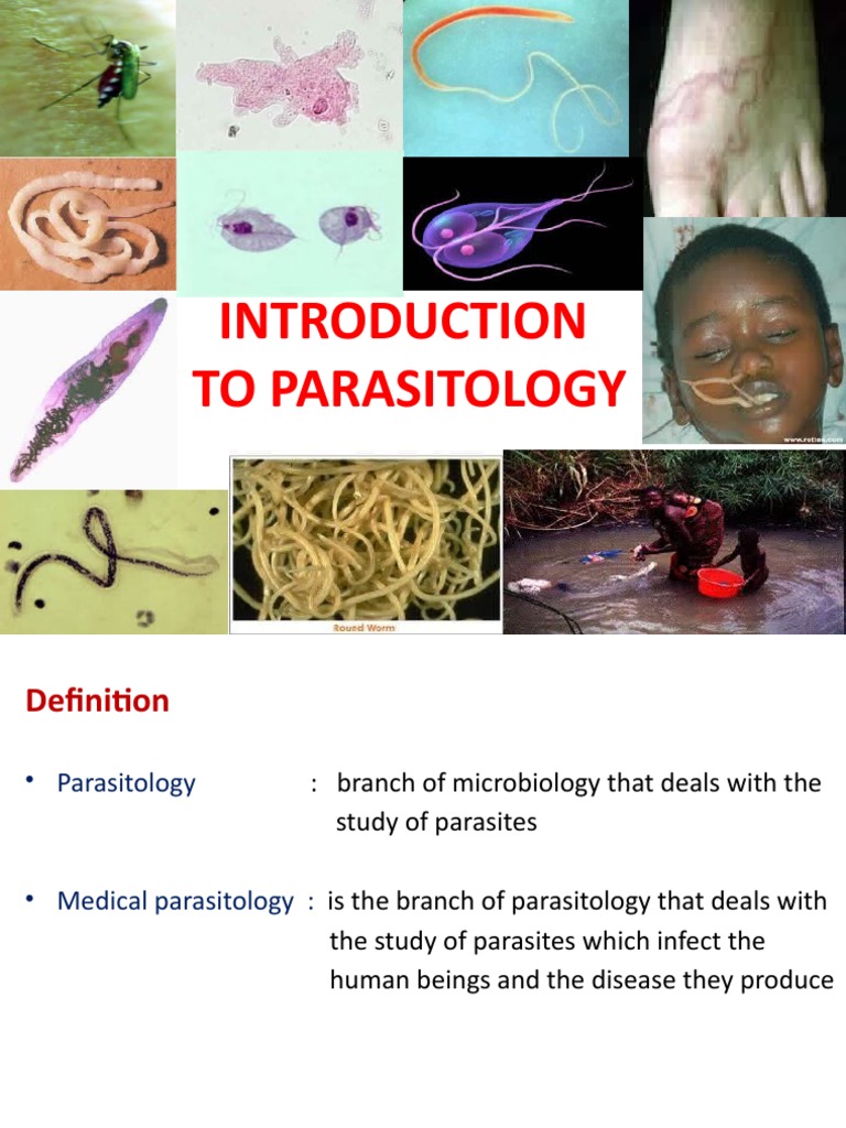 Introduction to Parasitology | PDF | Parasitism | Parasitology
