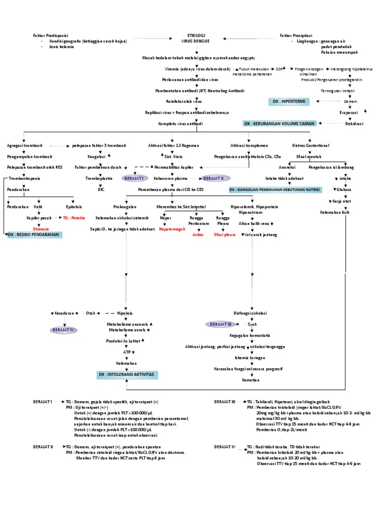Pathway DHF 2-1 | PDF