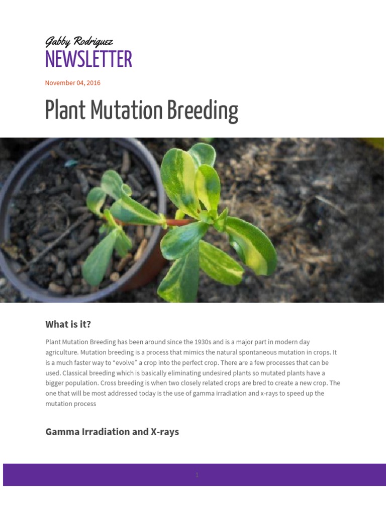 Newsletter: Plant Mutation Breeding | PDF | Plant Breeding | Gamma Ray