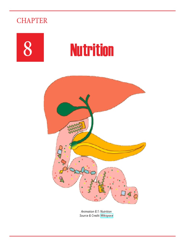 Nutrition: Animation 8.1: Nutrition Source & Credit: Wikispace | PDF ...