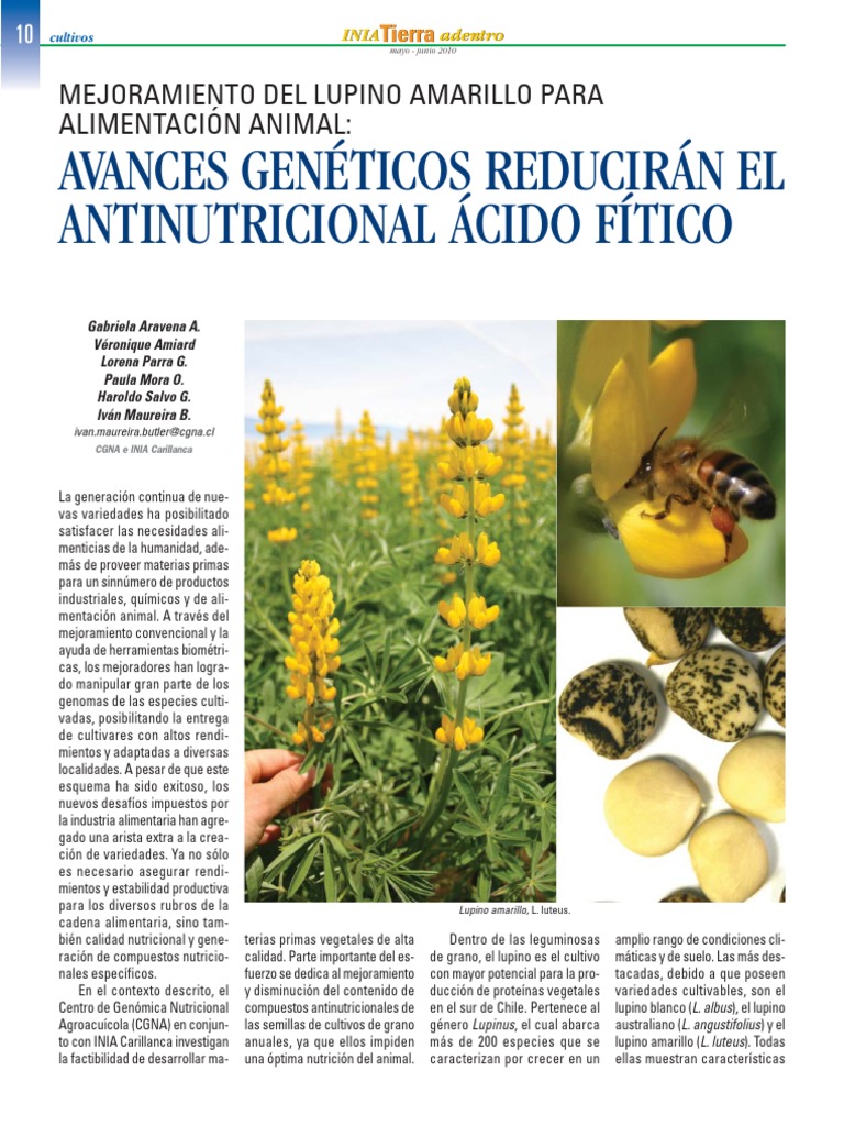 Fitina | PDF | Nutrición | Dieta y nutrición