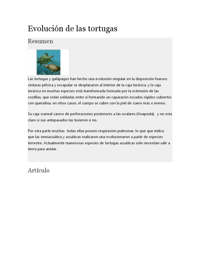 Evolución de Las Tortugas | PDF | Tortuga | Evolución