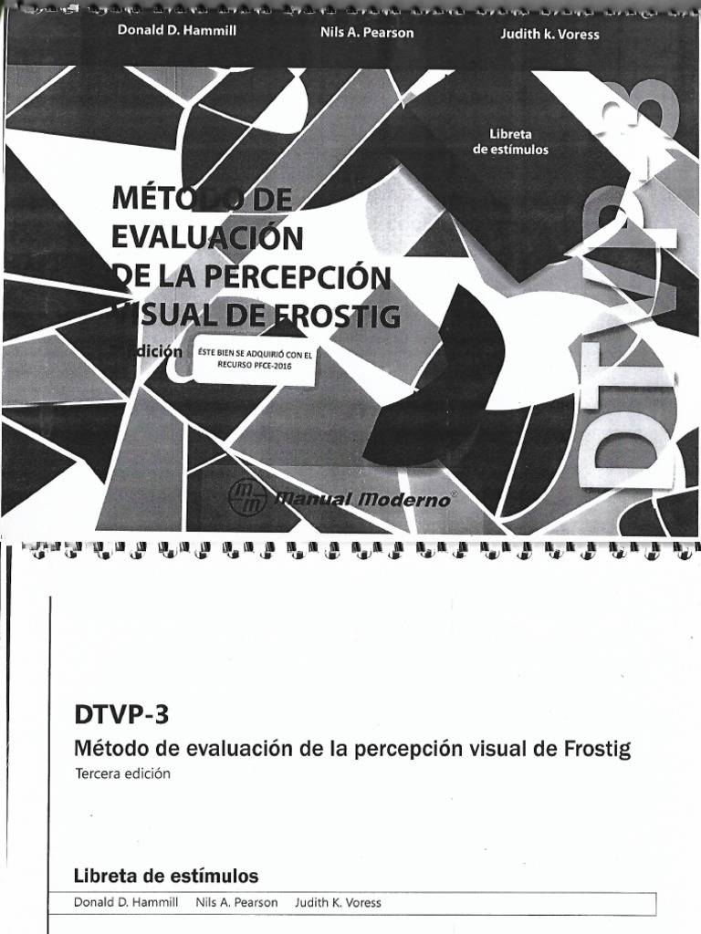 Libro Figuras DTVP-3 PDF | PDF