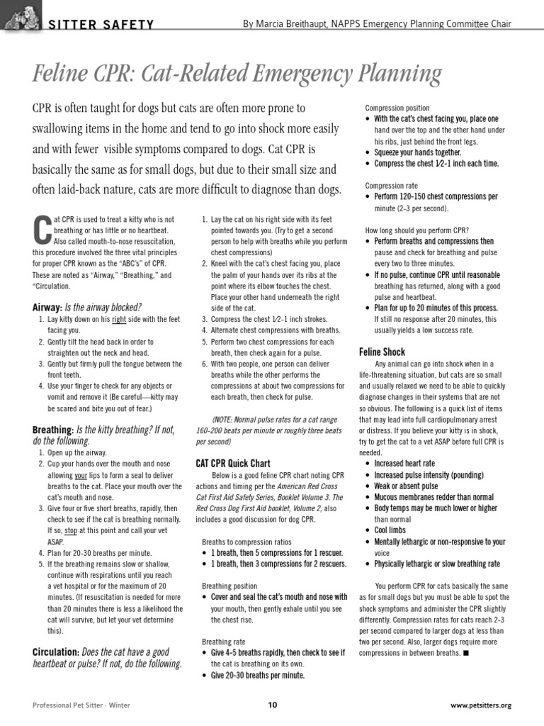 Feline CPR: Cat-Related Emergency Planning: Sitter Safety | PDF ...
