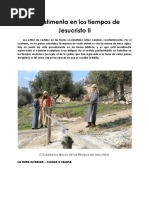 Cilicio PDF | PDF | Contenido bíblico | Ropa