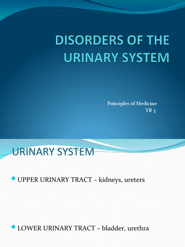Disorders of The Urogenital System2020 | PDF | Urinary Tract Infection ...