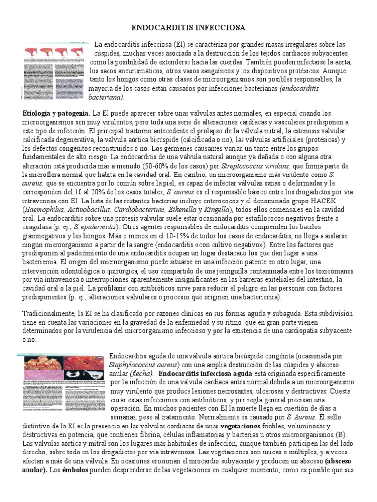 Endocarditis Infecciosa, Vegetaciones No Infectadas y Alteraciones en ...