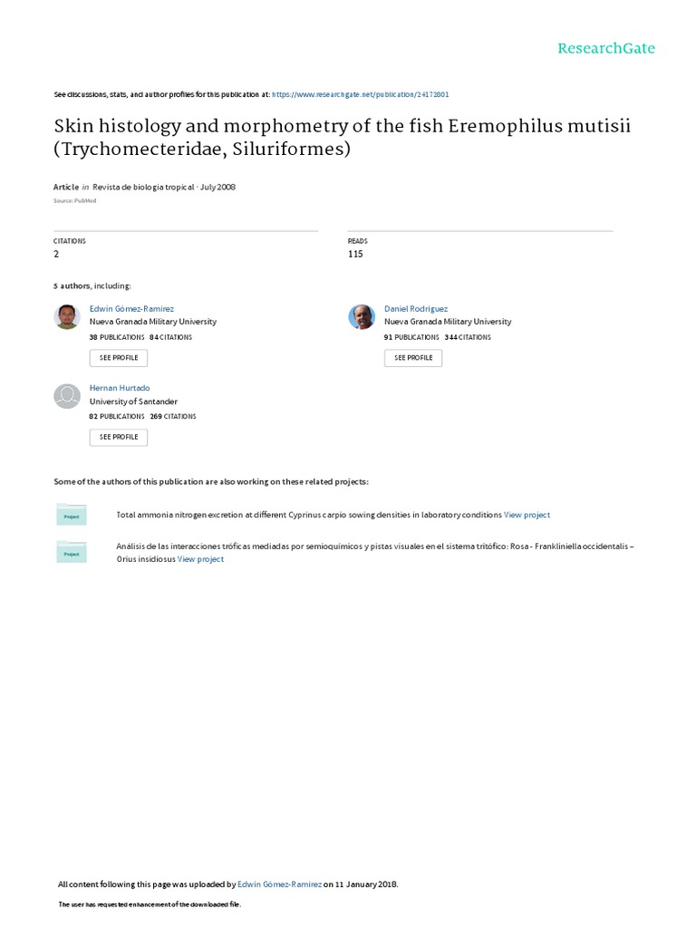 Skin Histology and Morphometry of The Fish Eremophilus Mutisii ...
