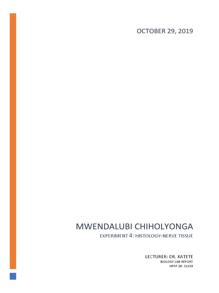 Biology 2 Nerve Tissue PDF | PDF | Cerebellum | Central Nervous System