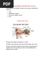 Sonidos Agradables y Desagradables | PDF