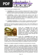 LSU-Ag Planting Guide | PDF | Vegetables | Fertilizer