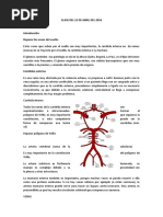 Doppler Venoso Mmii Safena Magna y Parva | PDF | Vena | Sistema ...