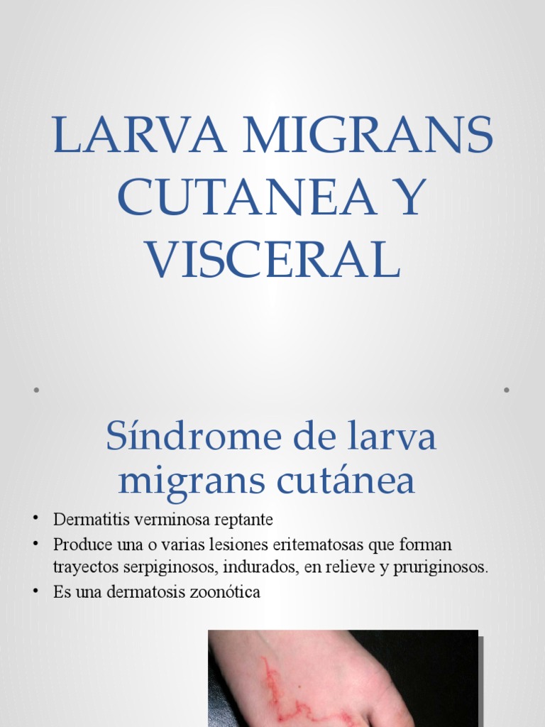 Larva Migrans Cutanea y Viceral | PDF
