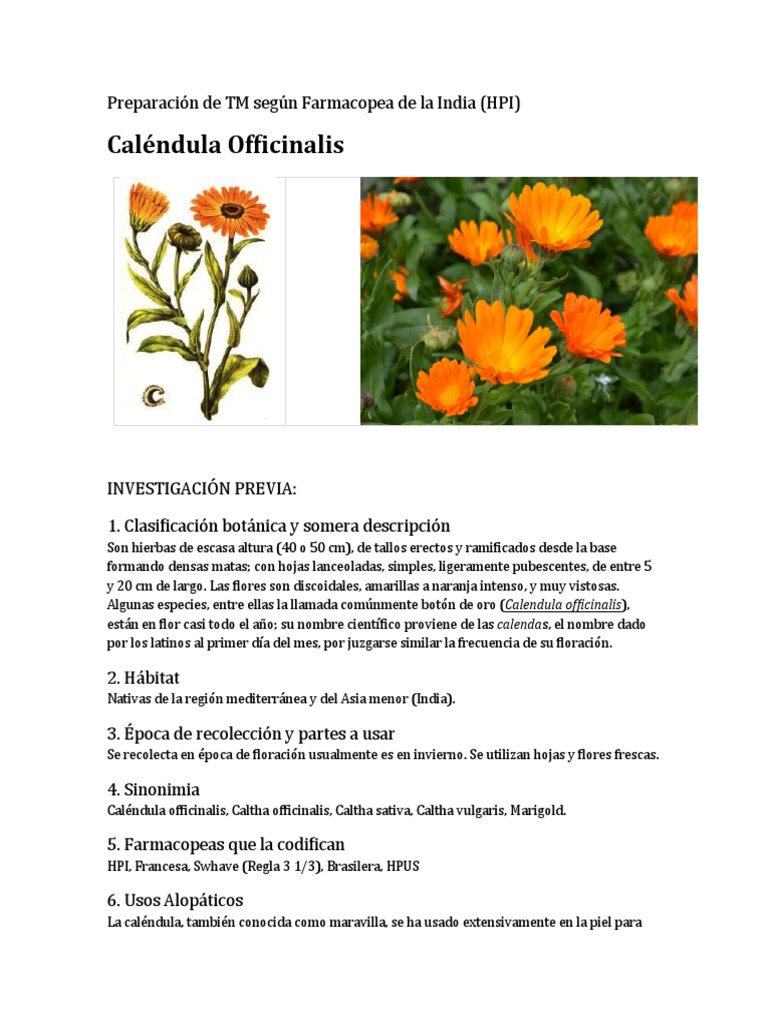 Calendula Officinalis | PDF | Bienestar | Medicina