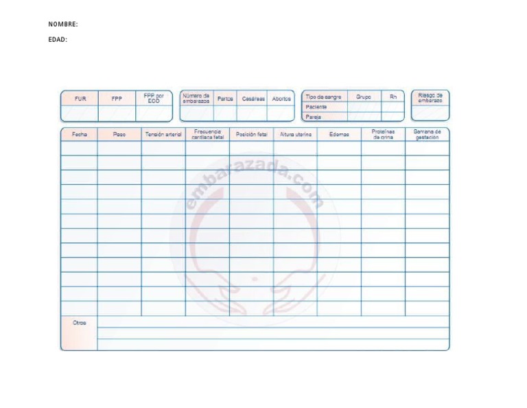 Carnet Prenatal | PDF