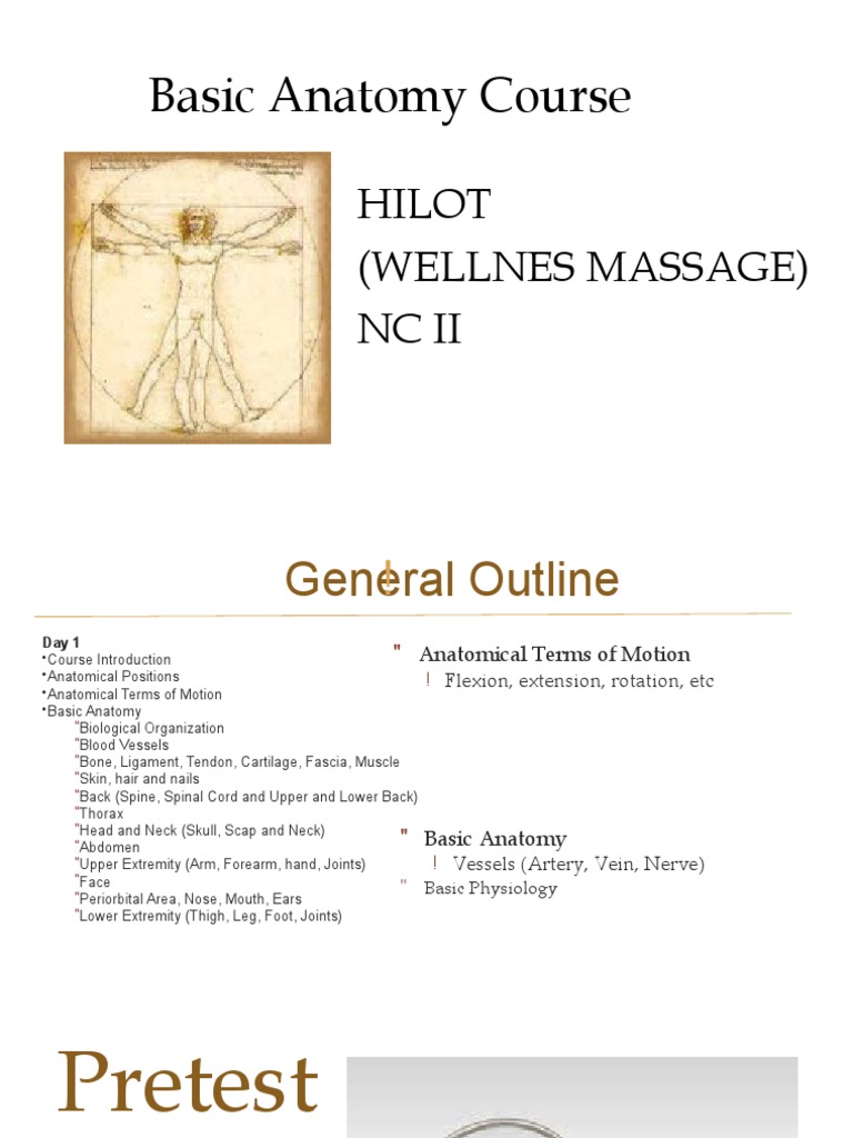 Basic Anatomy Course: Hilot (Wellnes Massage) NC Ii | PDF | Vertebral ...