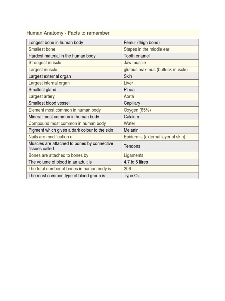 Human Anatomy - Facts To Remember | PDF