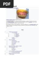Partes y funciones del paralelígrafo dental | PDF | Dentadura postiza ...