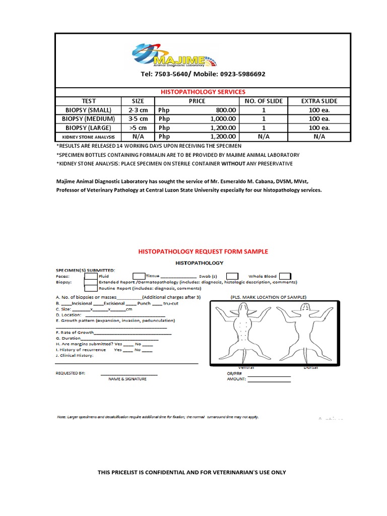 Histopath Pricelist | PDF