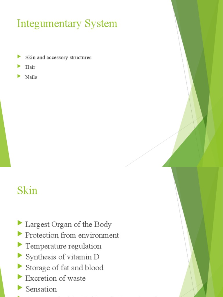 Assessment of Integumentary System-1jjkk | PDF | Integumentary System ...