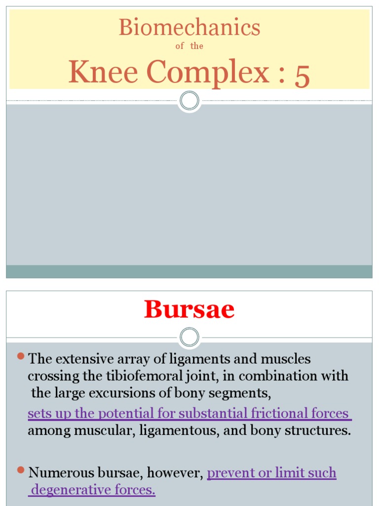 Knee Complex: 5: Biomechanics | PDF | Knee | Joints