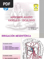 Irrigación e Inervación del Colon | PDF | Intestino grueso | Recto