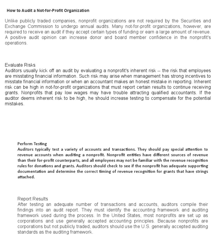 Audit of Non Profit Organisation | PDF
