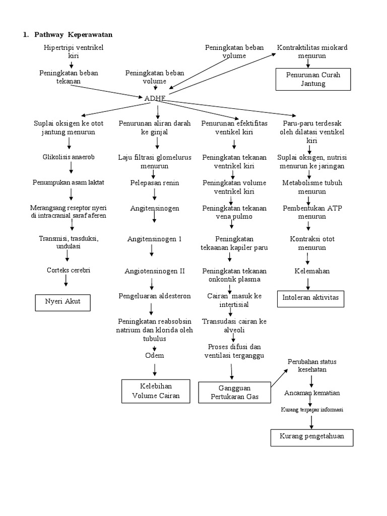 Pathway Keperawatan Fanna | PDF