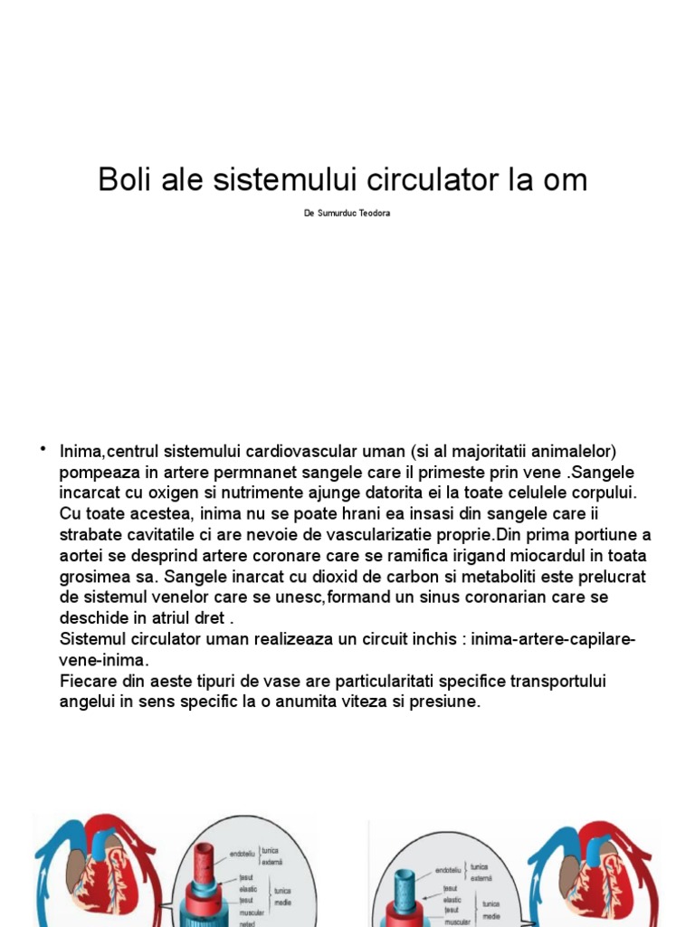 Boli Ale Sistemului Circulator La Om | PDF