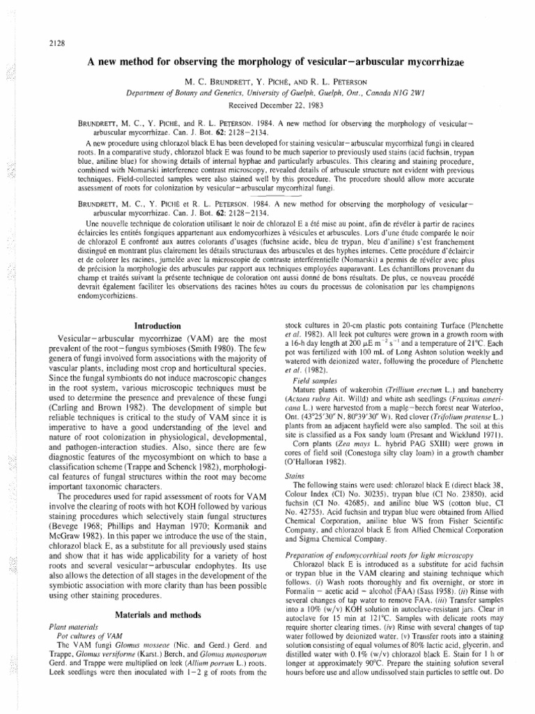 A New Method For Observing The Morphology of Vesicular-Arbuscular ...