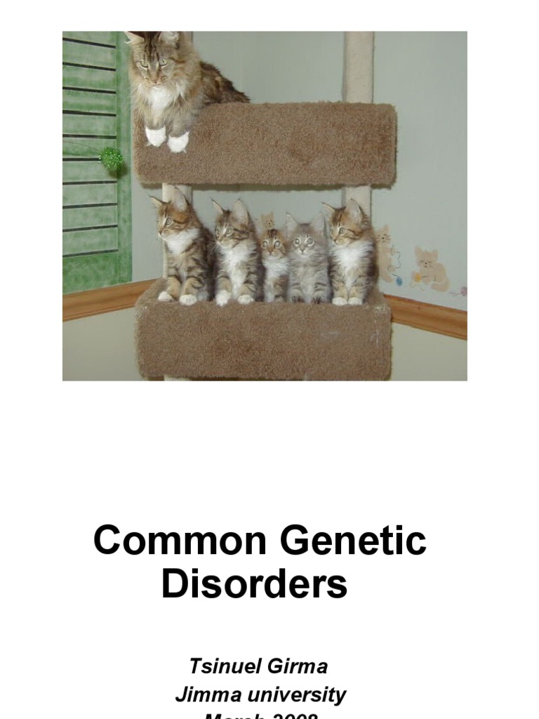 Overview of Common Genetic Disorders | PDF | Gene | Dominance (Genetics)