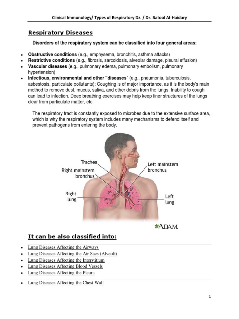 Respiratory Diseases Types | PDF | Respiratory Diseases | Lung