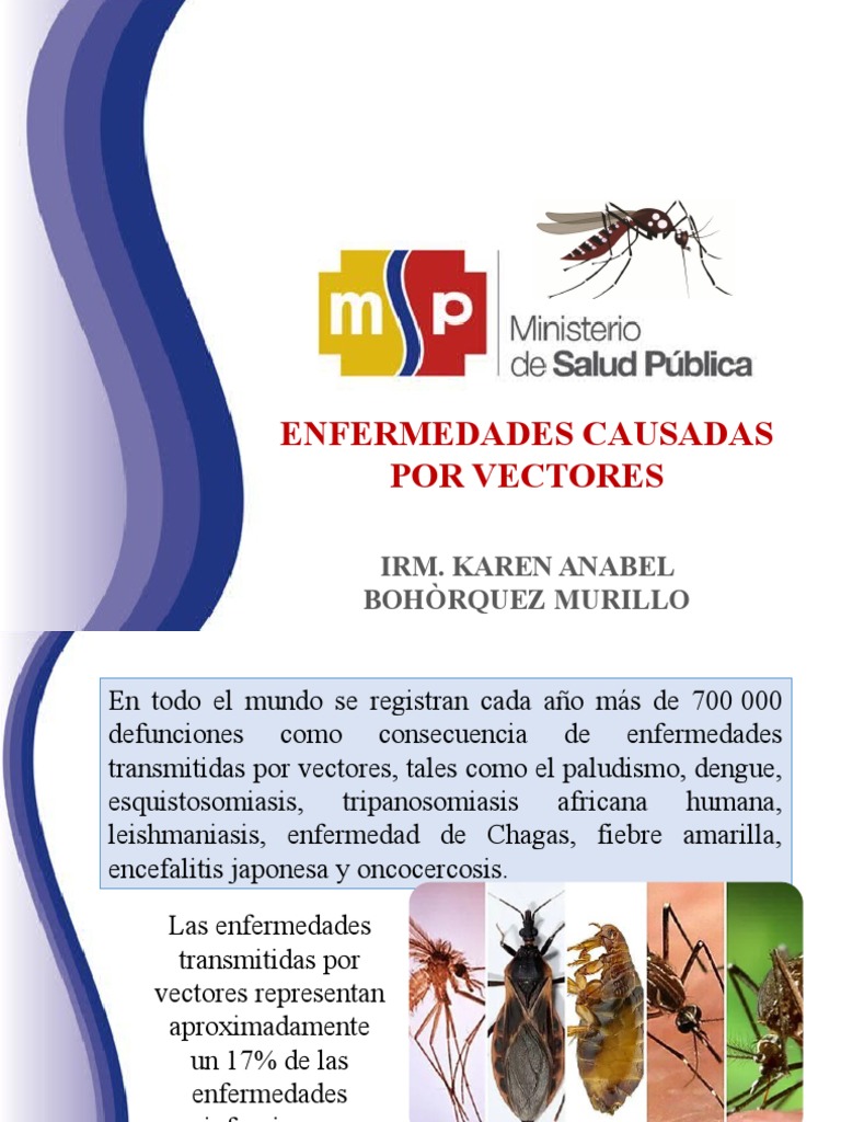 Enfermedades por Vectores: Guía Rápida | PDF | Fiebre del zika | Malaria