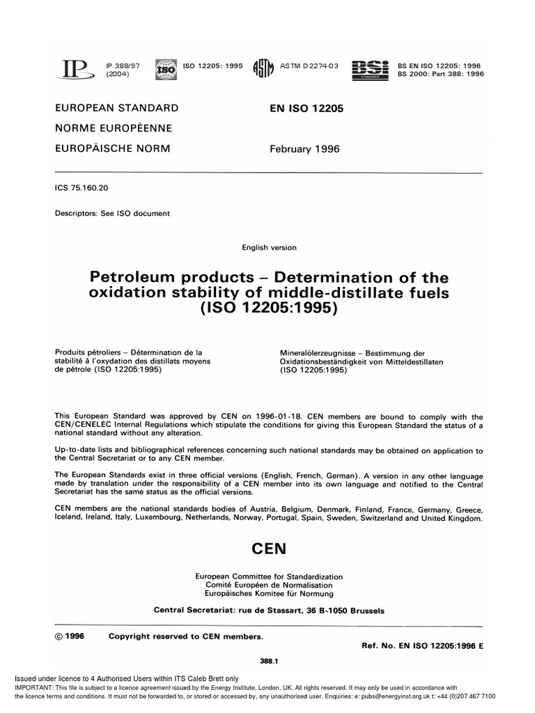 En Iso 12205 | PDF | Intellectual Works | Computing