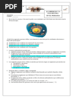 Cadena Alimenticia - Productores, Consumidores y Descomponedores PDF ...